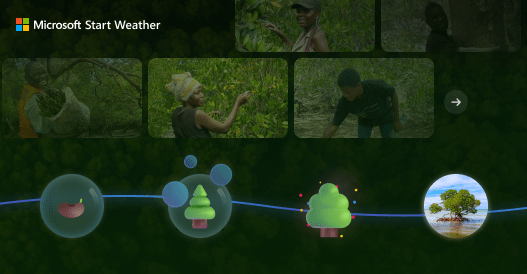 Weather forecast | MSN Weather E-tree